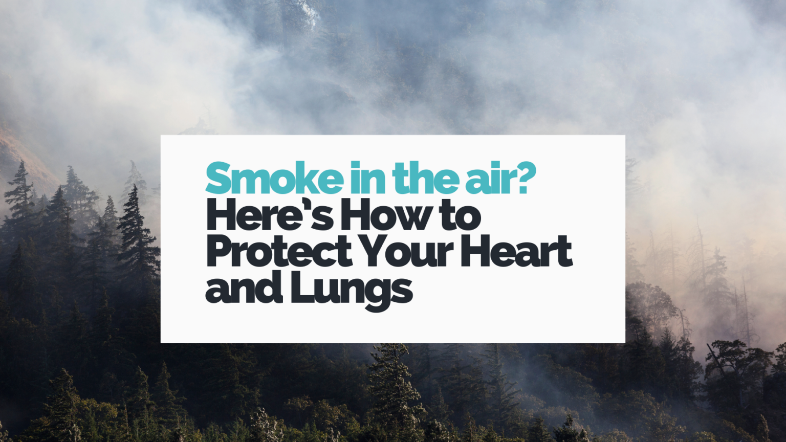 Smoke in the Air? Here’s How to Protect Your Heart and Lungs - Montana ...